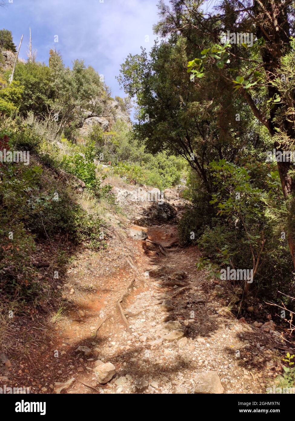 Tall grass path greece hi-res stock photography and images - Alamy