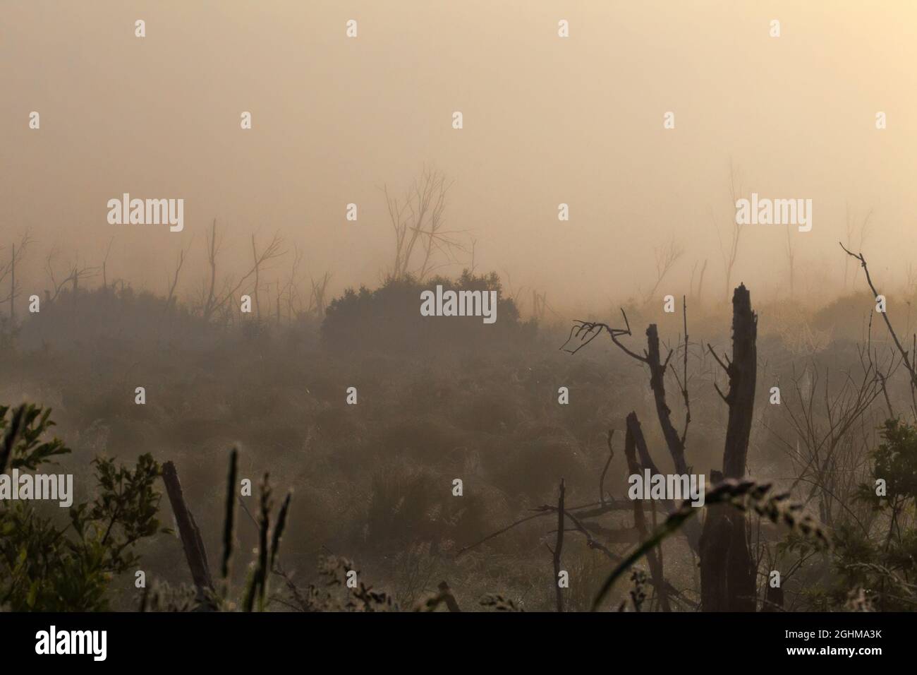 Mooning hi-res stock photography and images - Alamy
