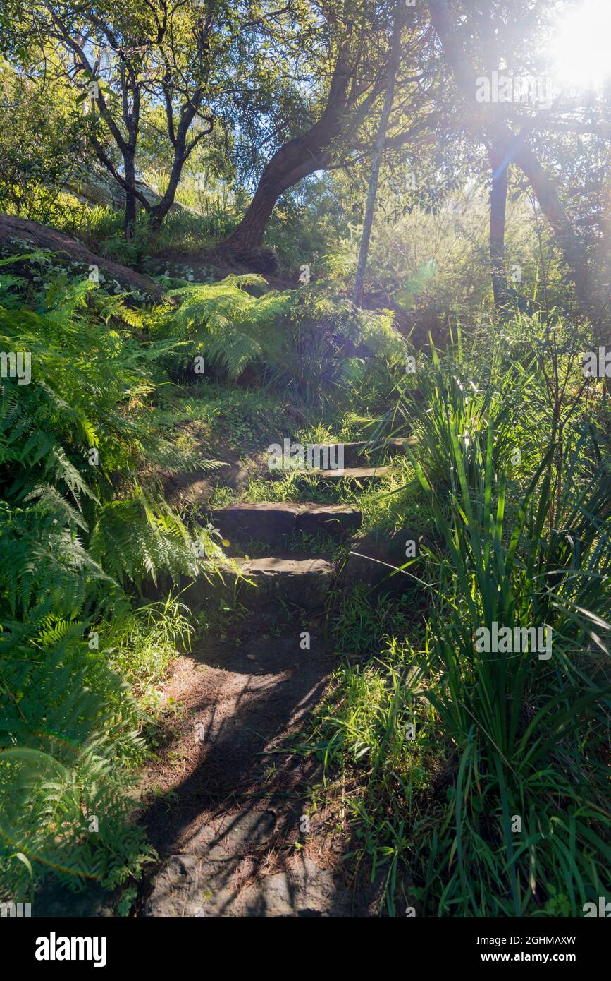 Steps up a narrow path hi-res stock photography and images - Alamy