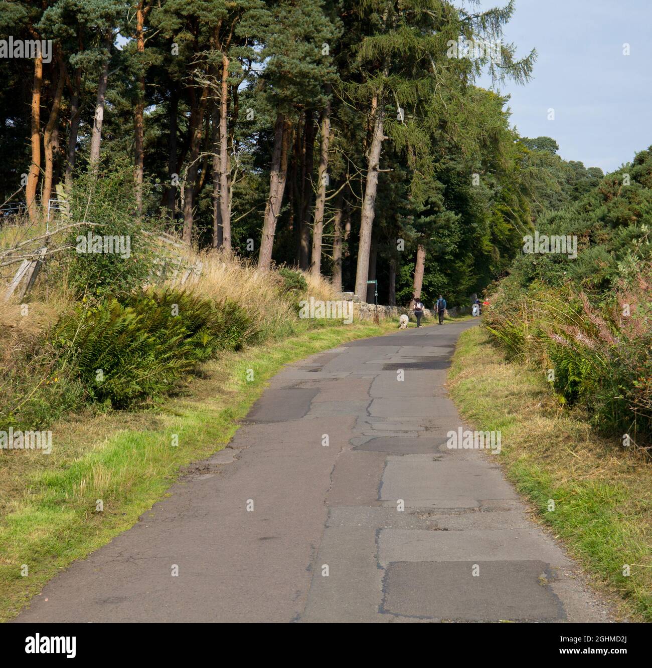 Pentland hills regional park hi-res stock photography and images - Alamy