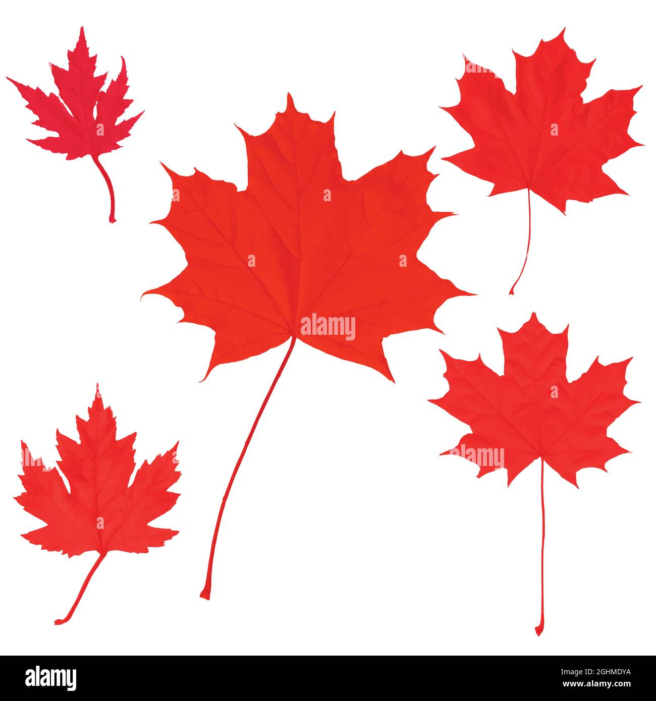 Toronto maple leaf logo hi-res stock photography and images - Alamy