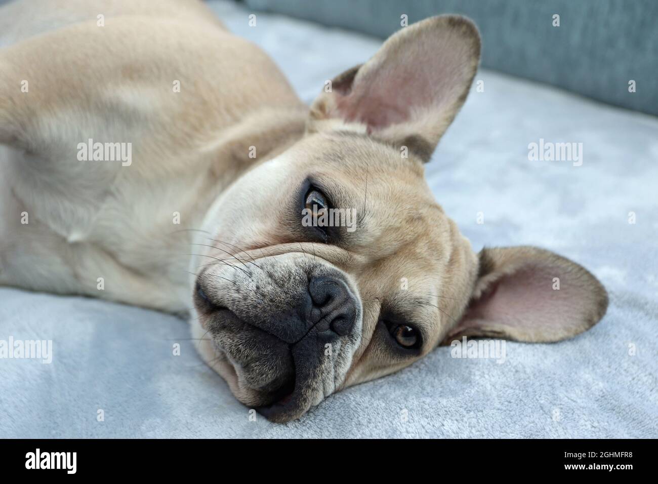 Flat cartoon sleeping character hi-res stock photography and images - Alamy