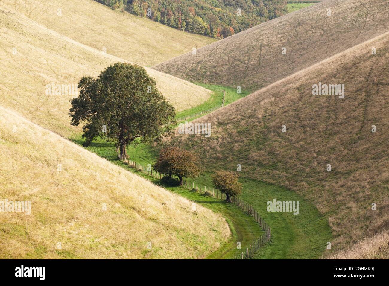 Horse Dale near Huggate, in the Yorkshire Wolds, UK Stock Photo - Alamy