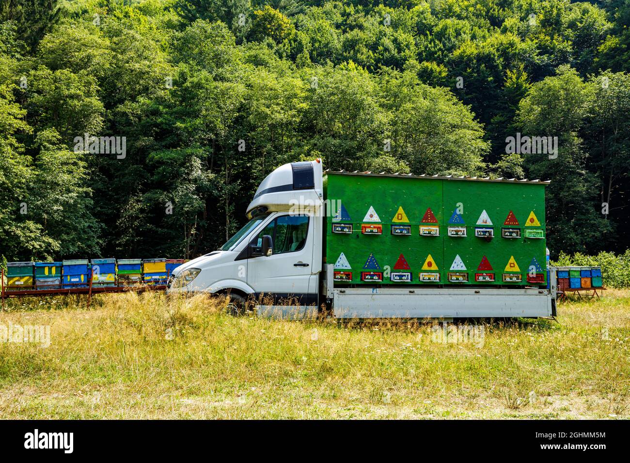 Beekeeping for honey in Romania Stock Photo - Alamy