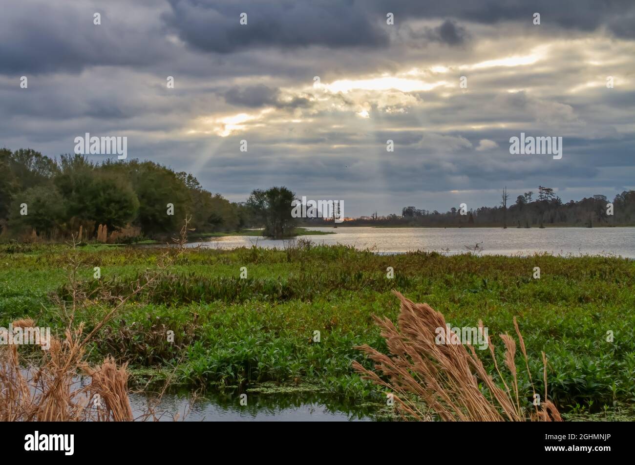 Beautiful view of the flowing river surrounded by greens and trees ...