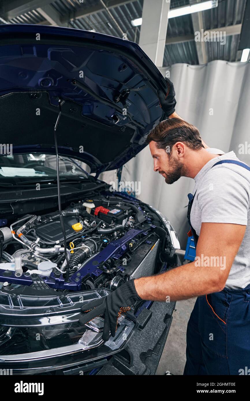 Strong mechanic inspecting car parts under hood Stock Photo - Alamy