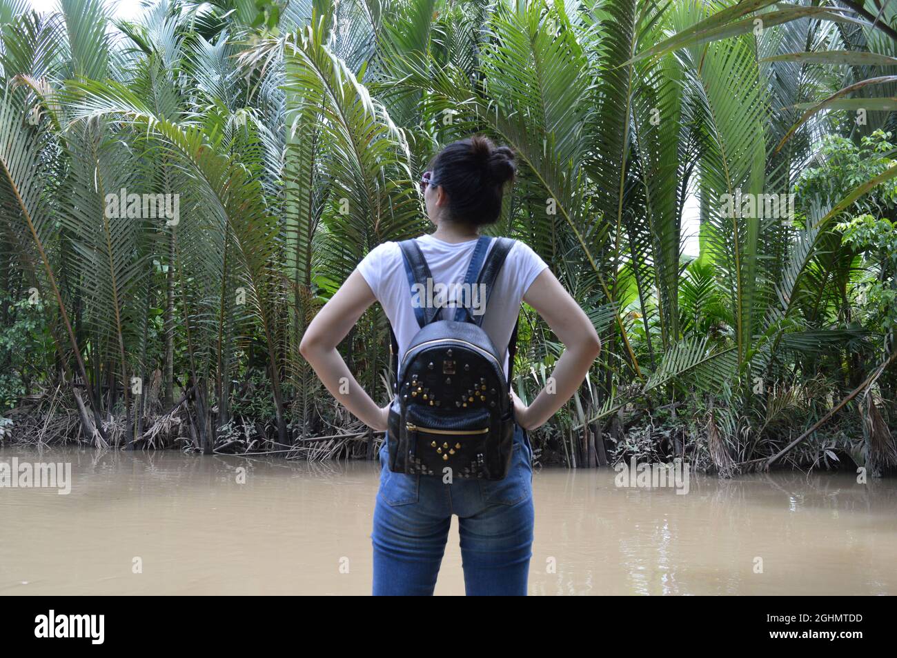 Backpack girl standing on the shore of vietnamese mangrove forest Stock ...