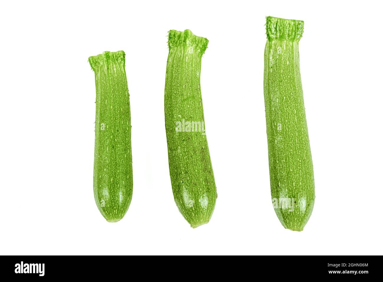 Fresh harvest baby zucchini or courgette from the organic garden on ...