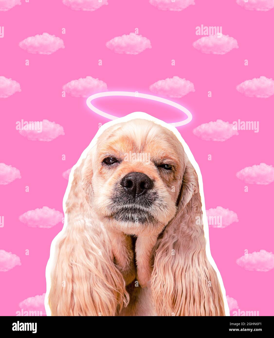 Contemporary art collage of fish swimming in earth ocean at night ...