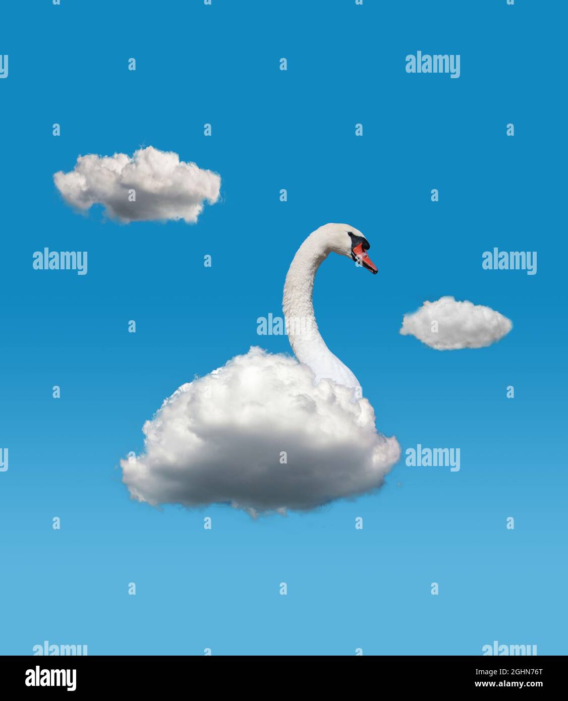 Contemporary art collage of white beautiful swan with fluffy cloud ...