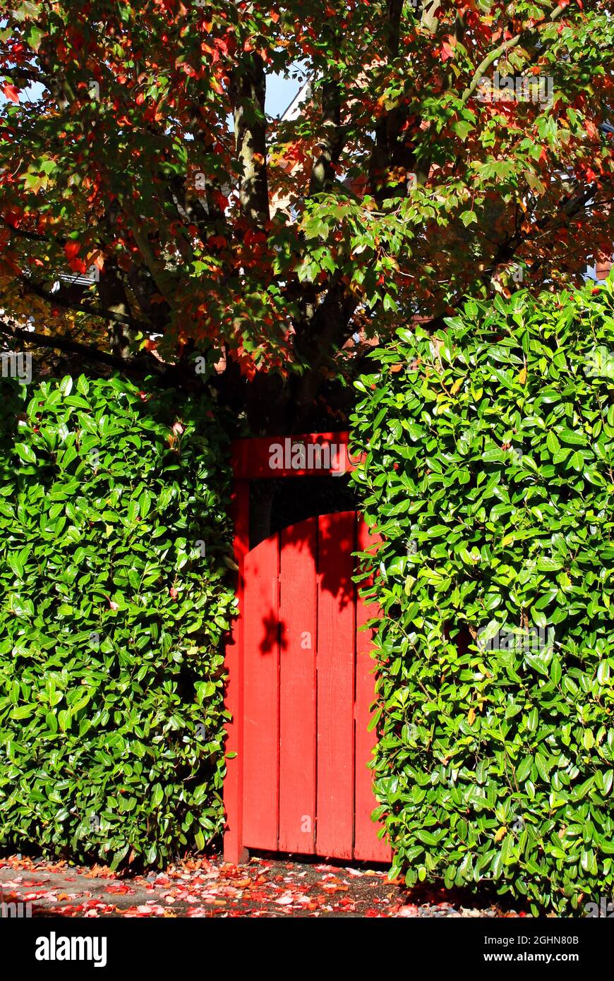 Vertical shot of a red gate of a garden in Vancouver, Canada Stock ...