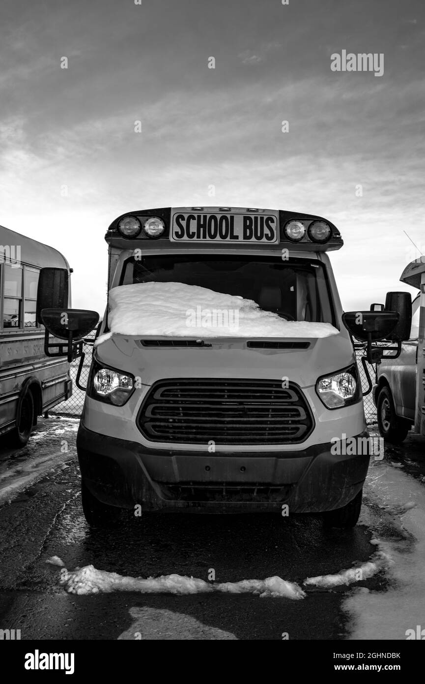 Parked front end of a school bus with the windshield covered with snow ...
