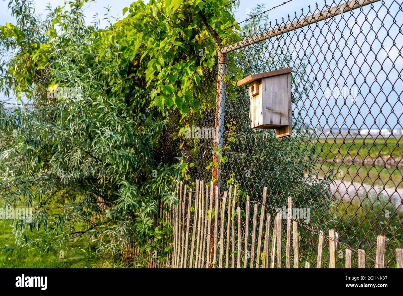Overgrown industrial chain link fence with trees and brush passing ...
