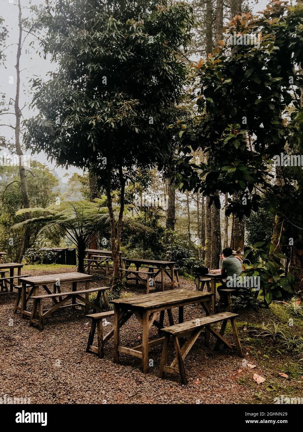 Woodland dinner hi-res stock photography and images - Alamy