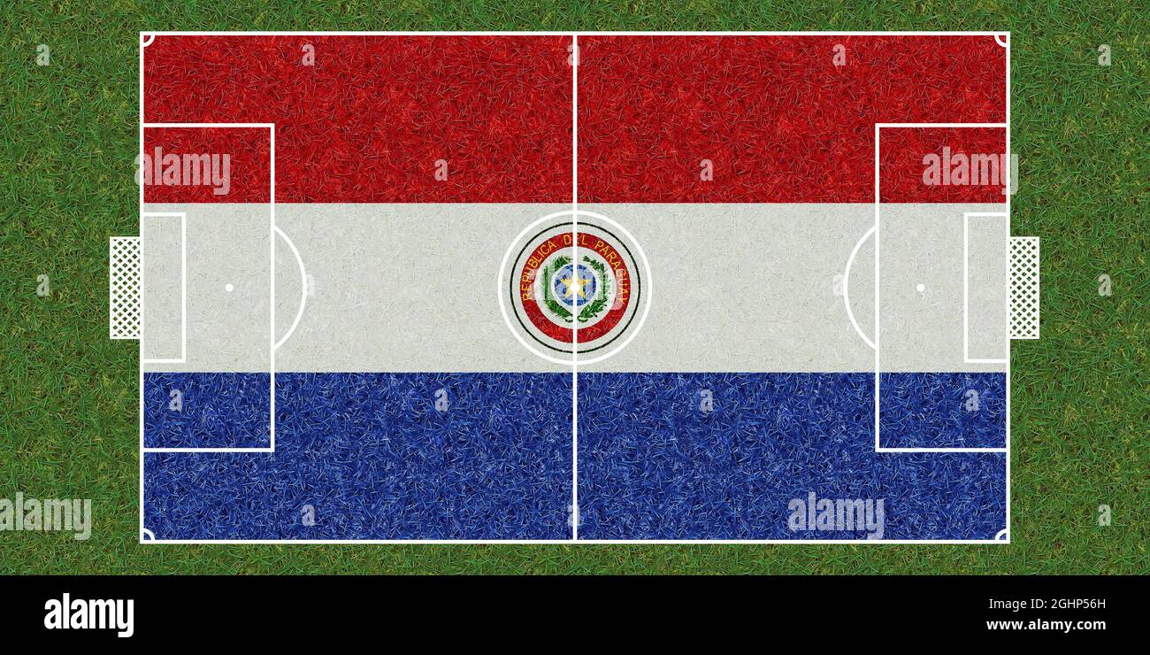 Top view of Green grass soccer field with flag of Paraguay. football ...