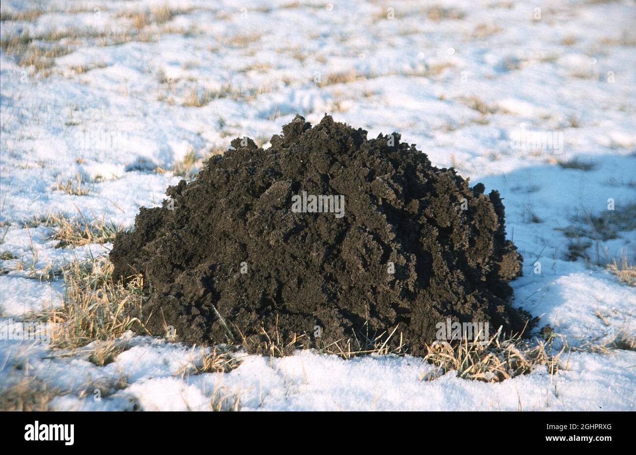 North mole hi-res stock photography and images - Alamy