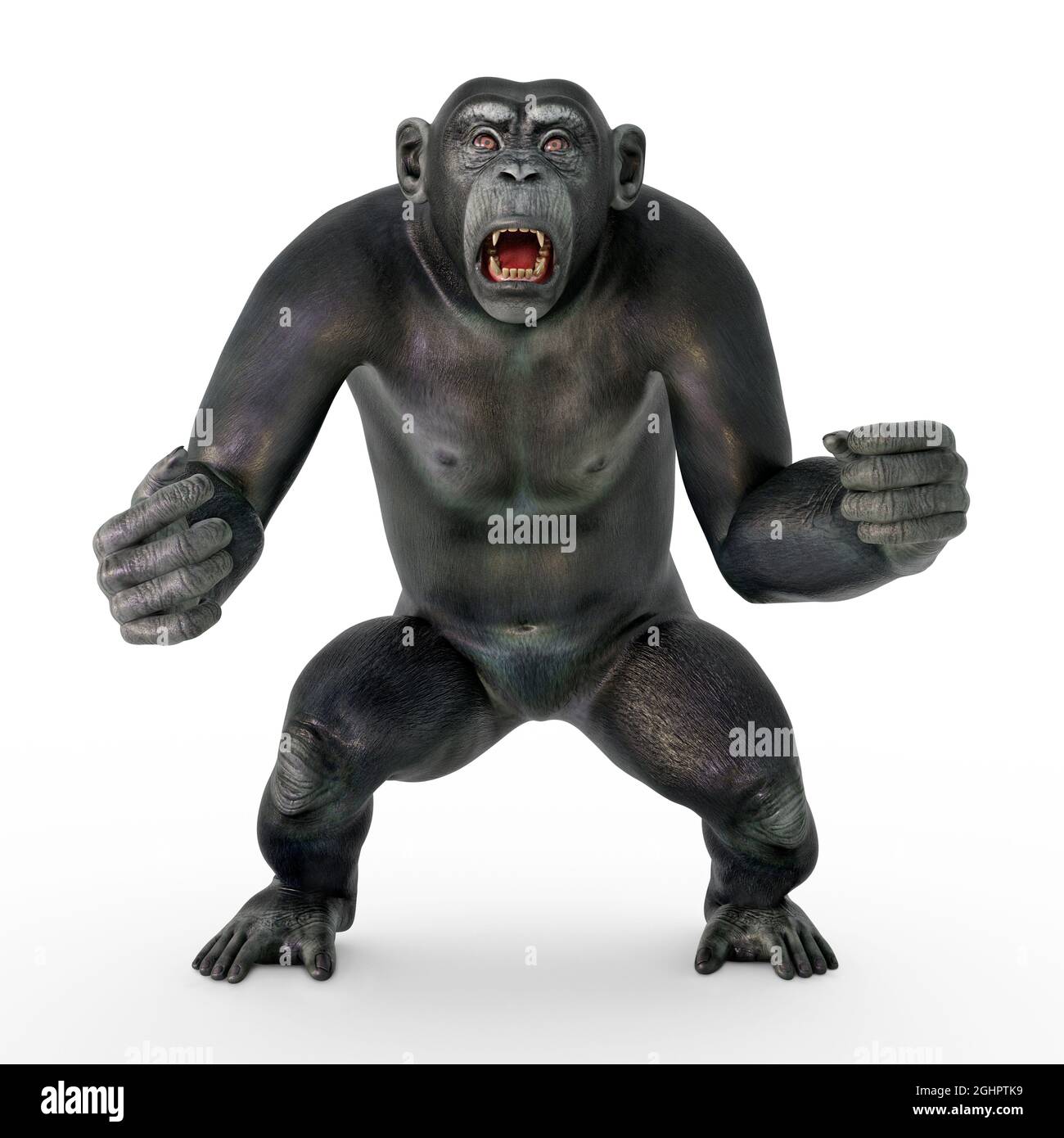 Chimpanzee in a combative pose Stock Photo - Alamy