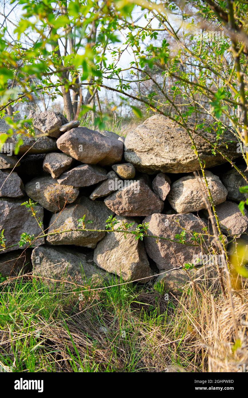 Natural stone wall on meadow orchard as habitat for reptiles and ...
