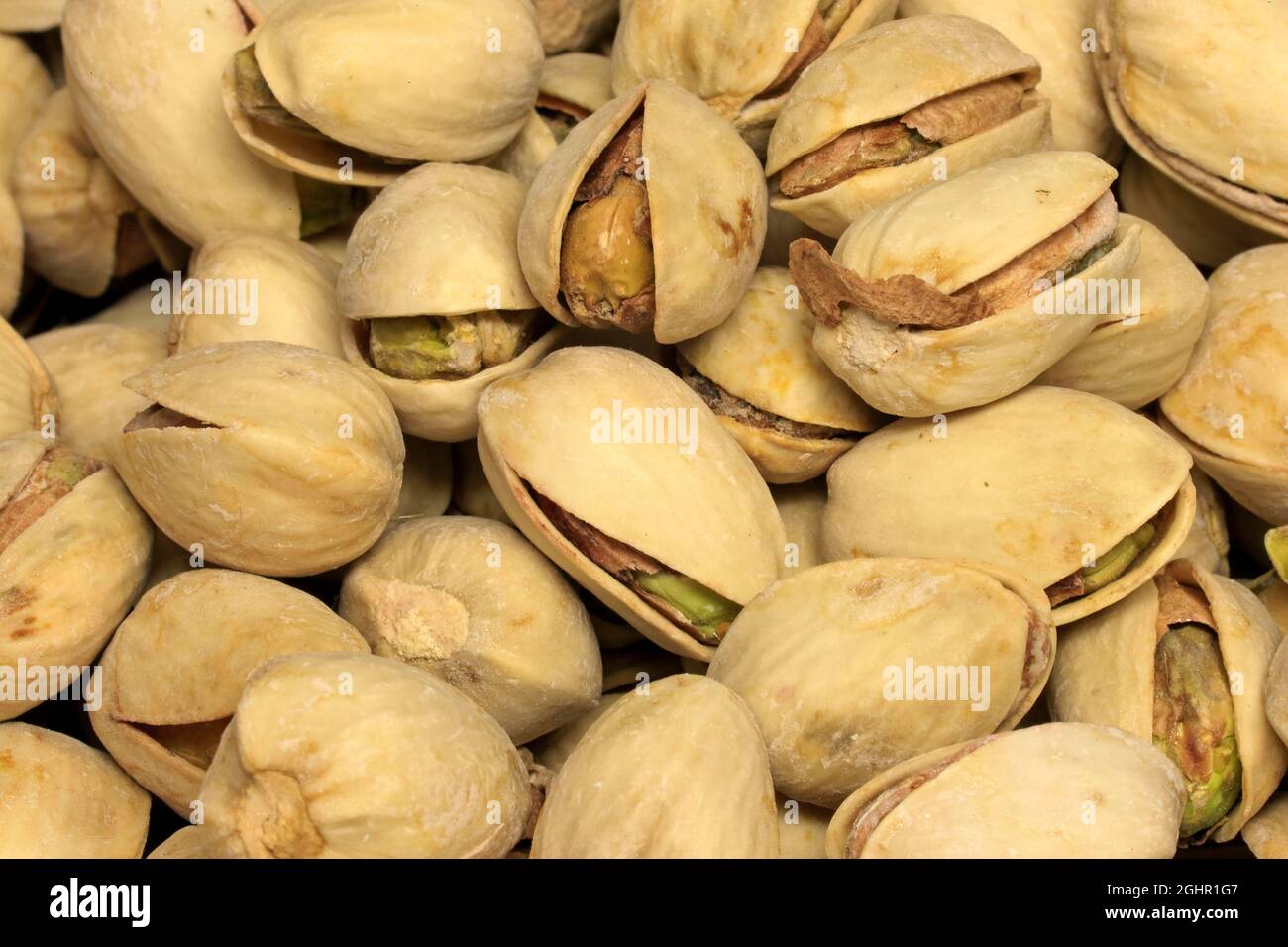 Pistachio (Pistacia vera), fruit, nuts, with shell, unpeeled, Germany ...