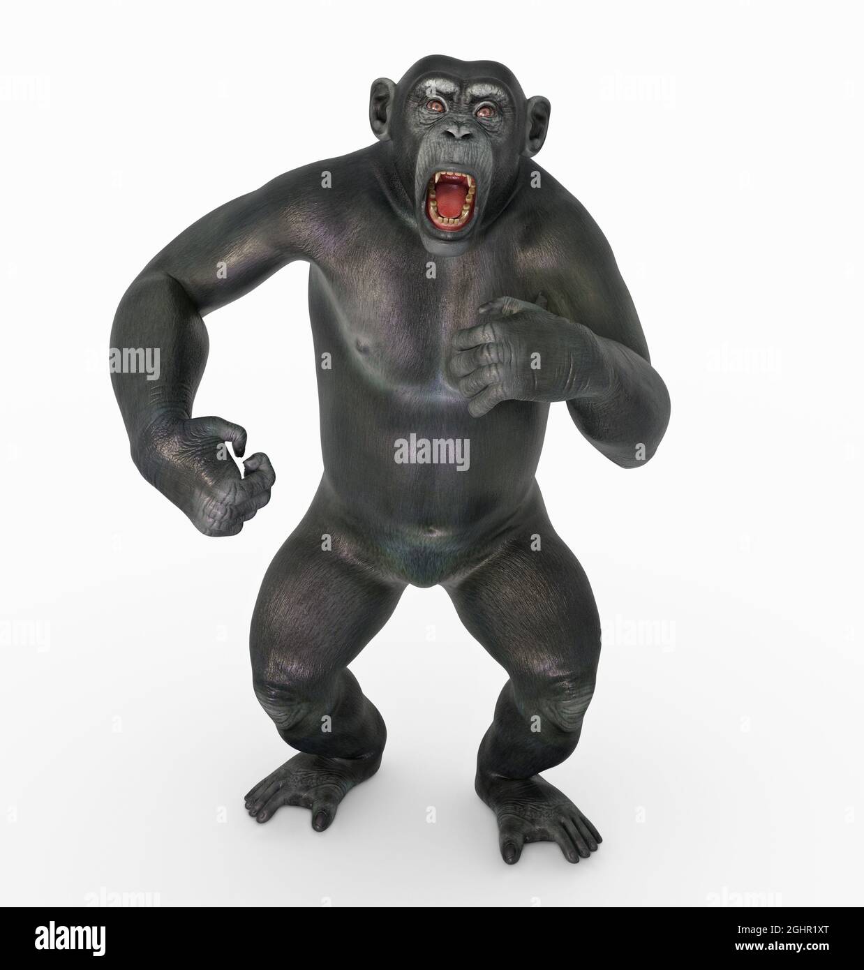 Chimpanzee in a combative pose Stock Photo - Alamy