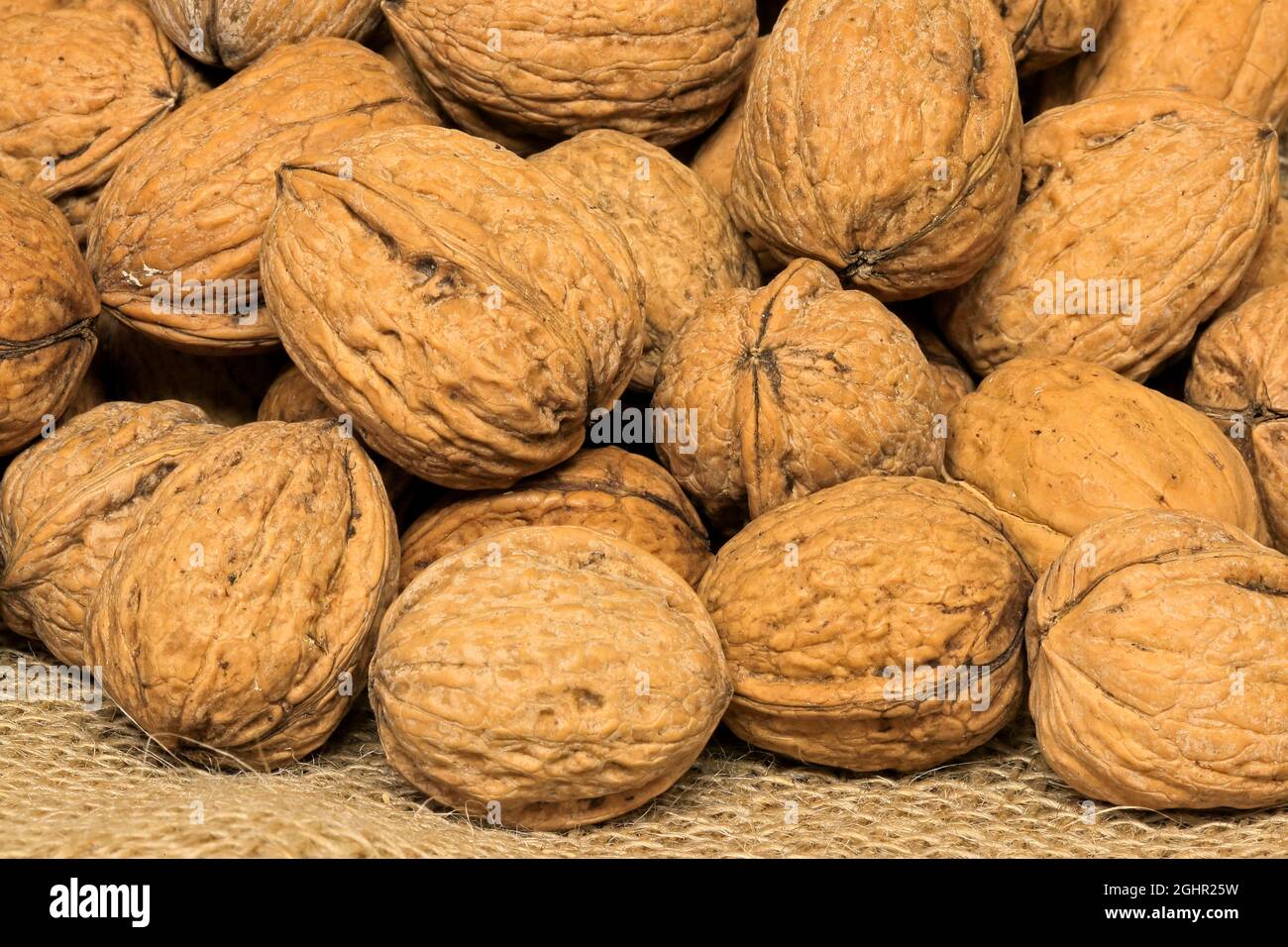 Persian walnut (Juglans regia), fruits, nuts, with shell, unshelled ...