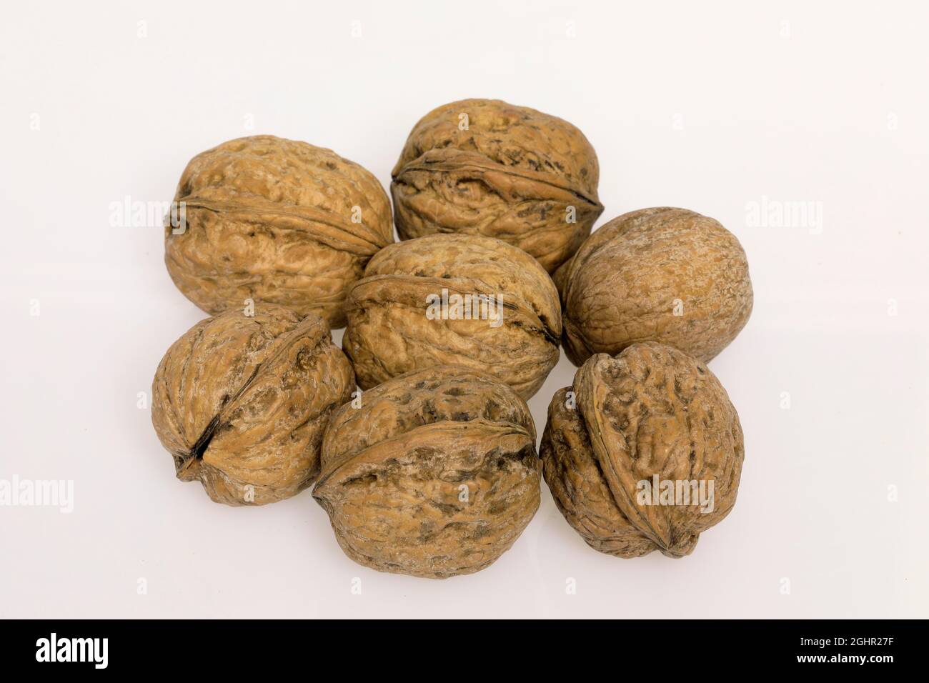 Persian walnut (Juglans regia), fruits, nuts, with shell, unshelled ...