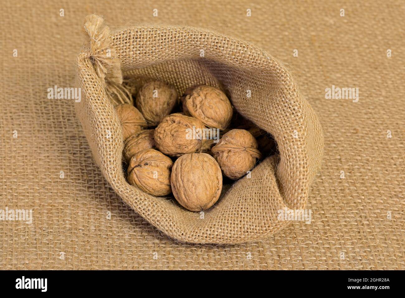 Persian walnut (Juglans regia), fruits, nuts, with shell, unshelled ...