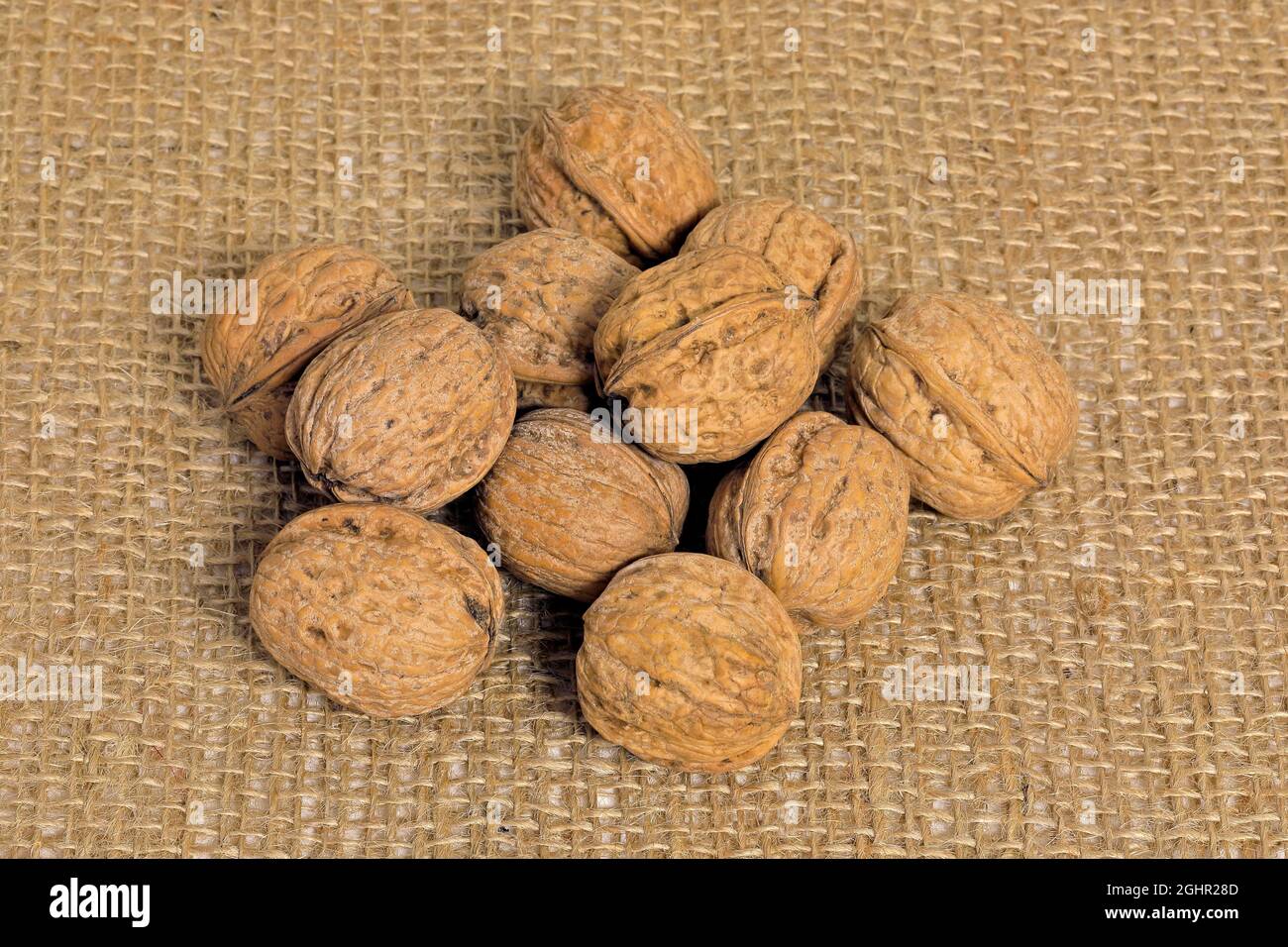 Persian walnut (Juglans regia), fruits, nuts, with shell, unshelled ...