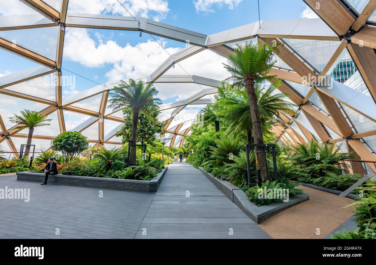 Modern architecture, building planted with palms and ferns, Crossrail ...