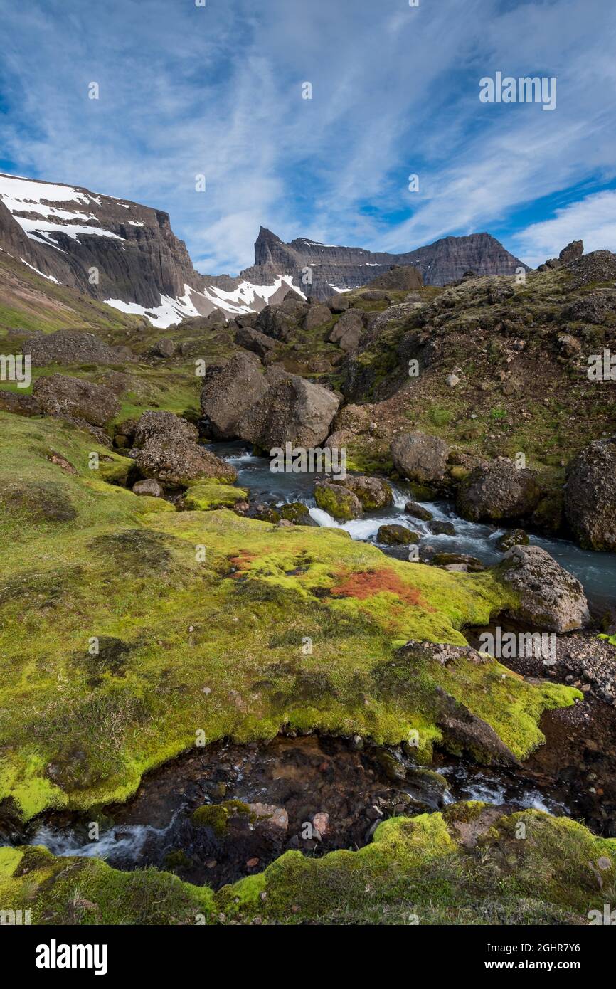 Green aquatic moss (Fontinalis antipyretica), stream, Storuro landslide ...