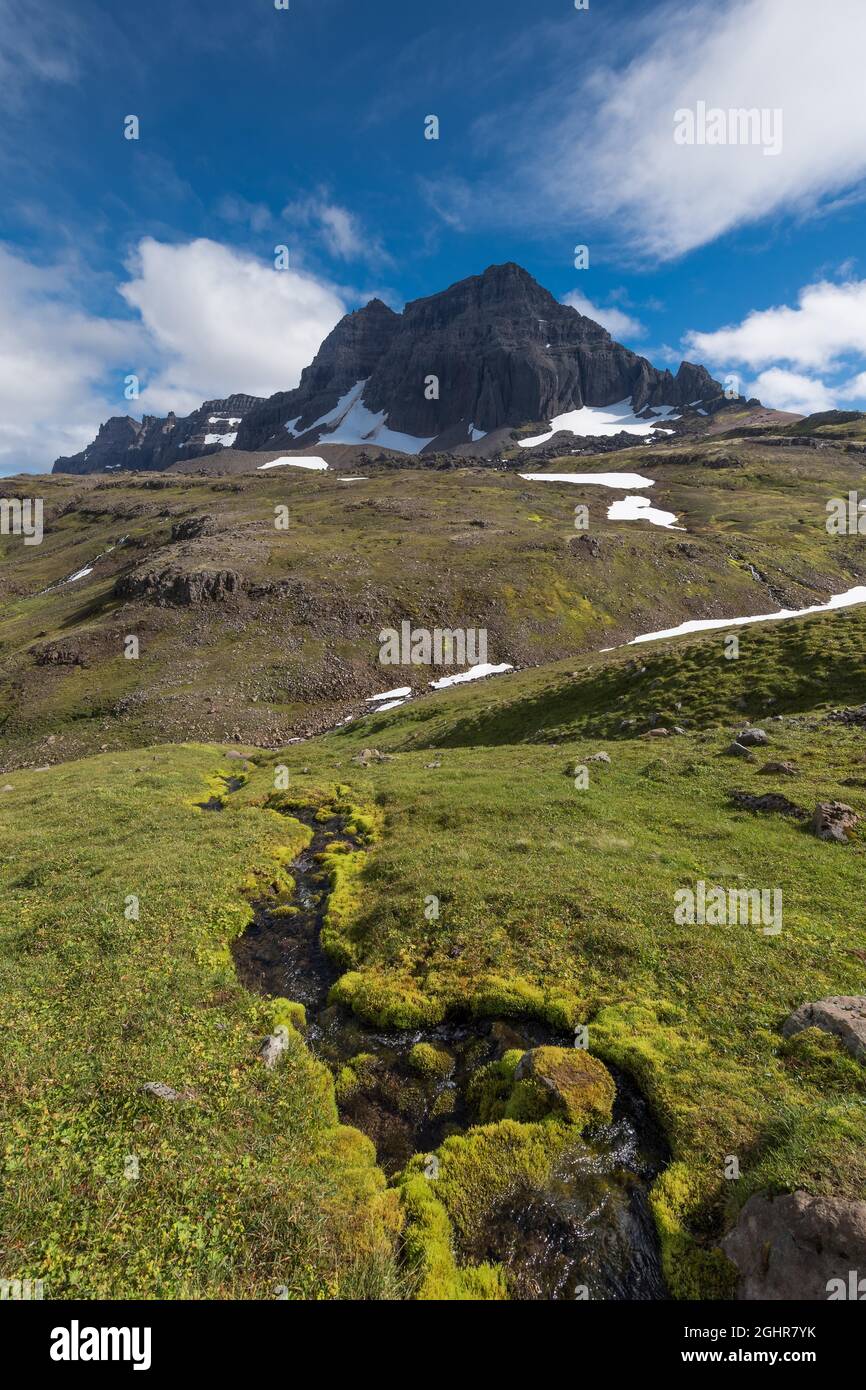 Fontinalis antipyretica hi-res stock photography and images - Alamy