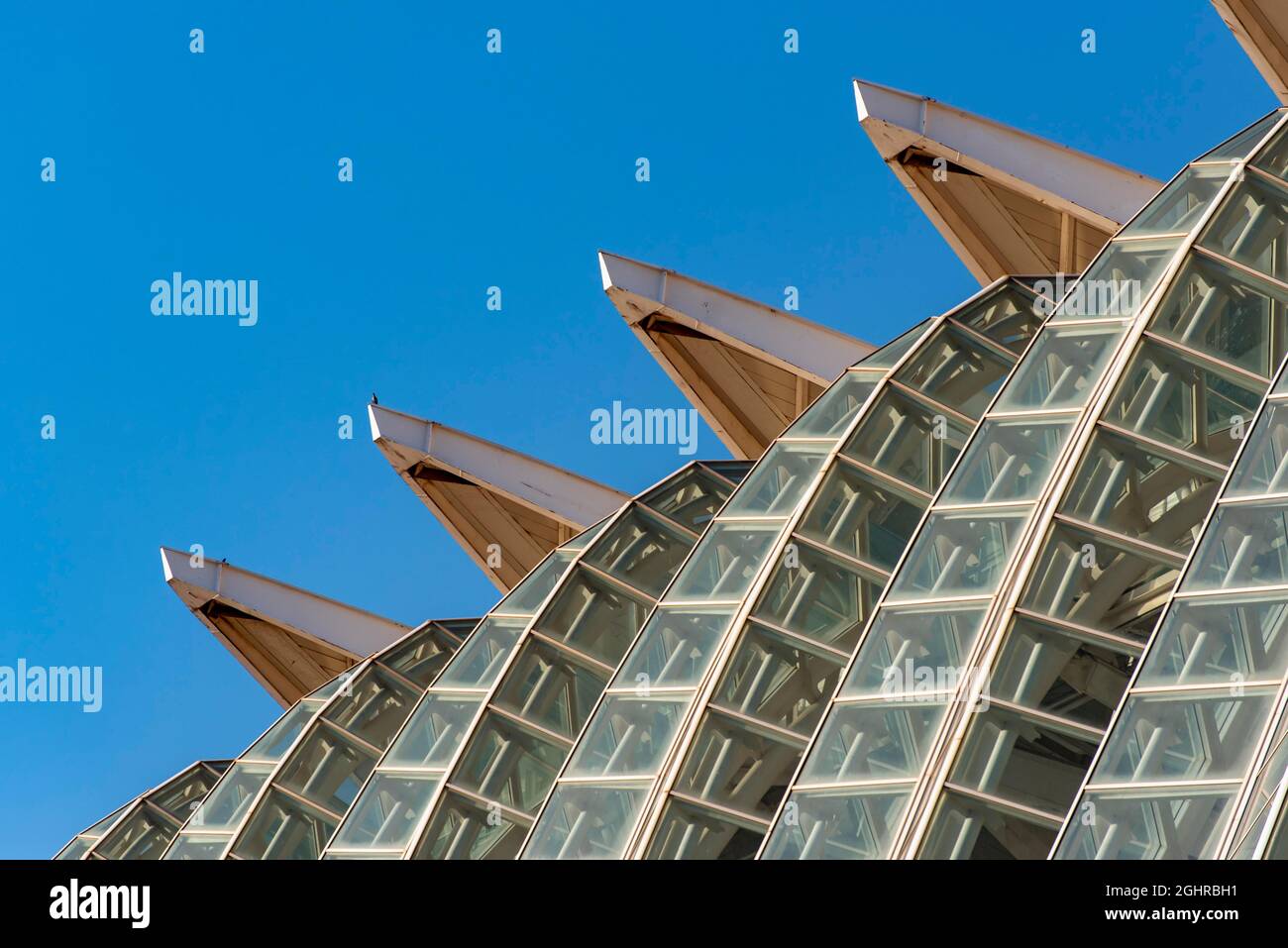 Roof construction, Museo de las Ciencias, Prince Philip Science Museum ...
