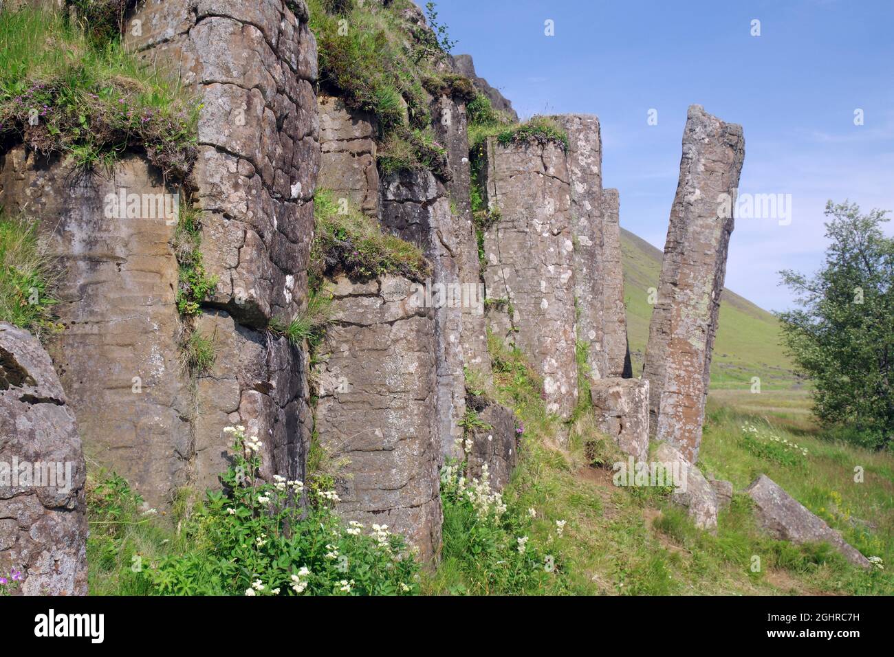 Vertical basalt formations, South Iceland, Iceland Stock Photo - Alamy