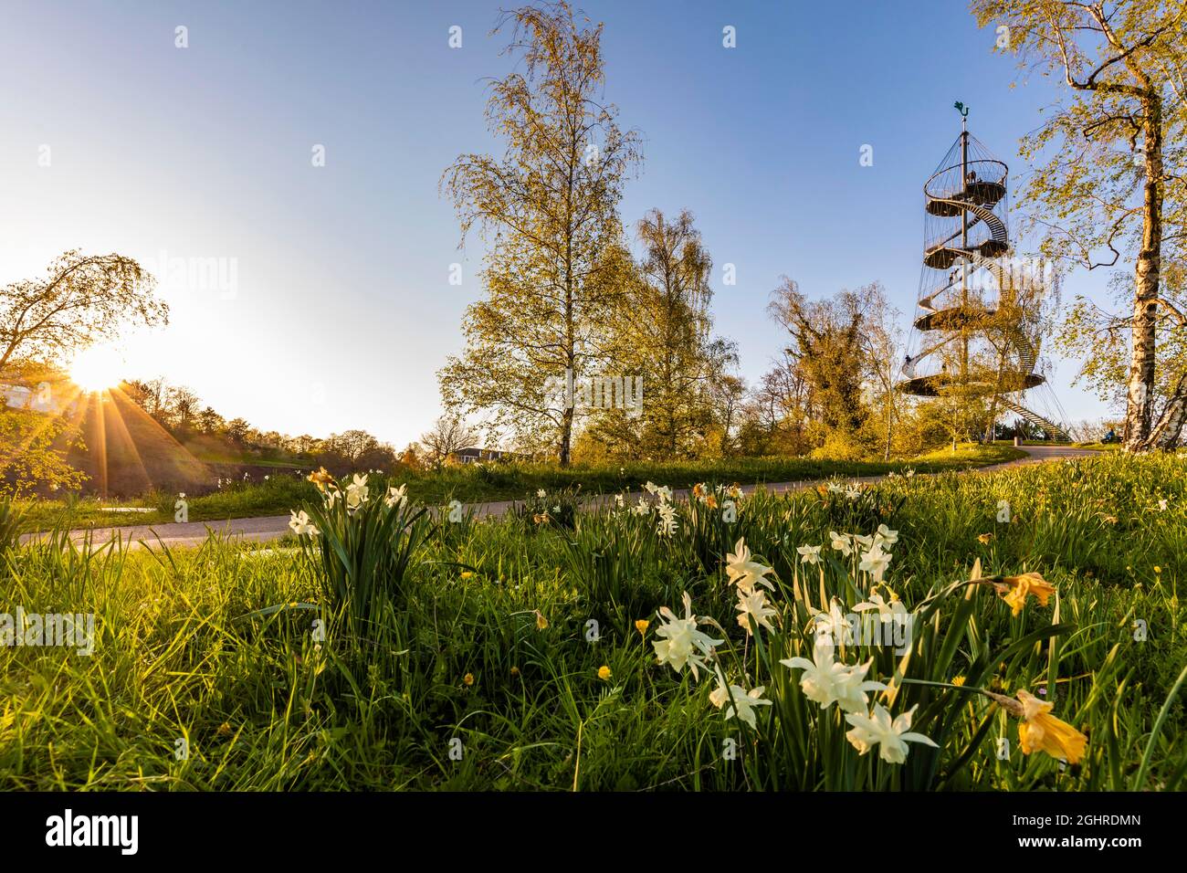Killesberg Tower in Killesberg Heights Park, Killesberg, Stuttgart ...