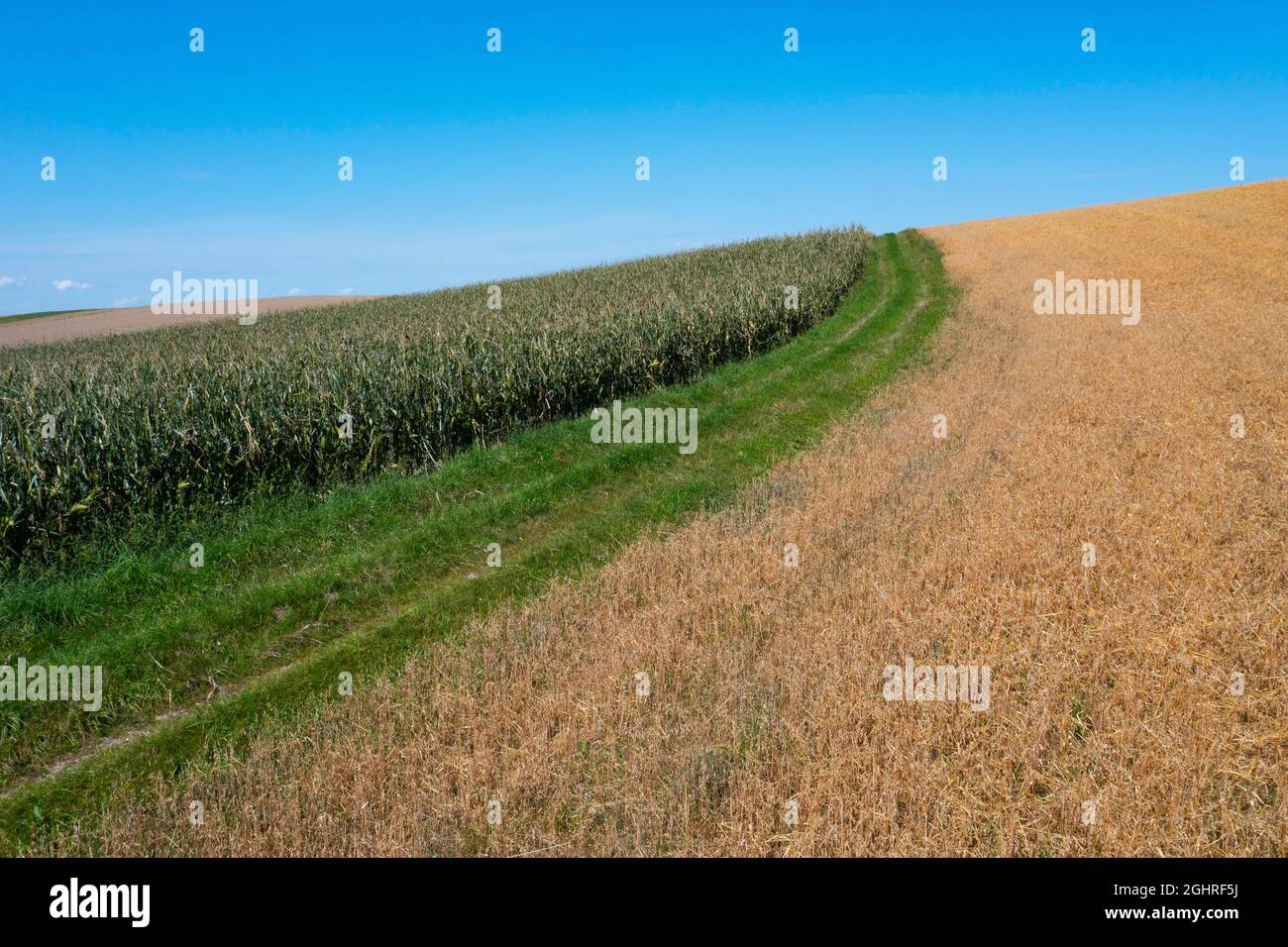 Drone image, agricultural landscape, field path through harvested grain ...