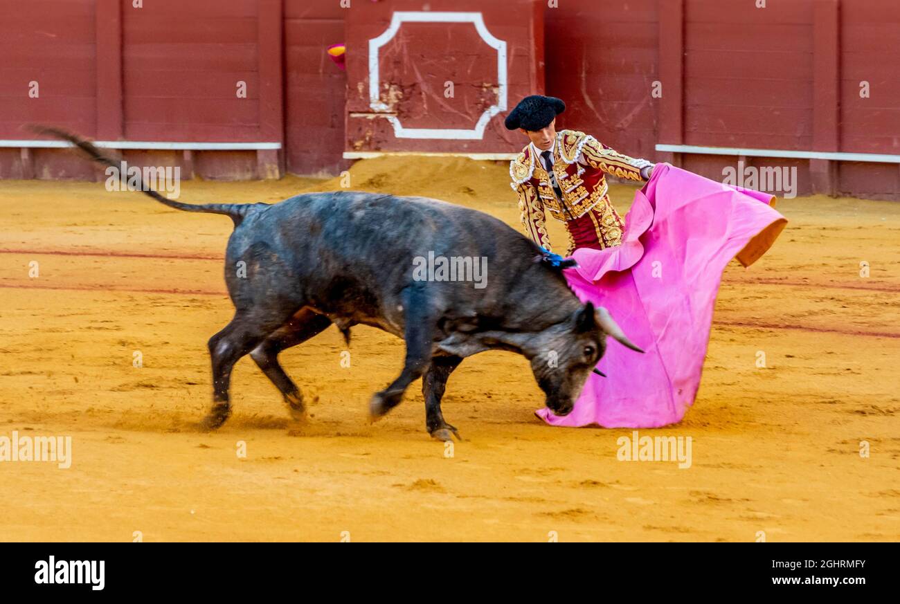 Banderillero toros hi-res stock photography and images - Alamy