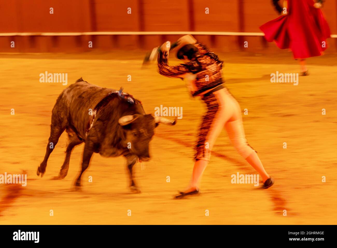Banderillero with bull, setting the banderillas, spits decorated with ...