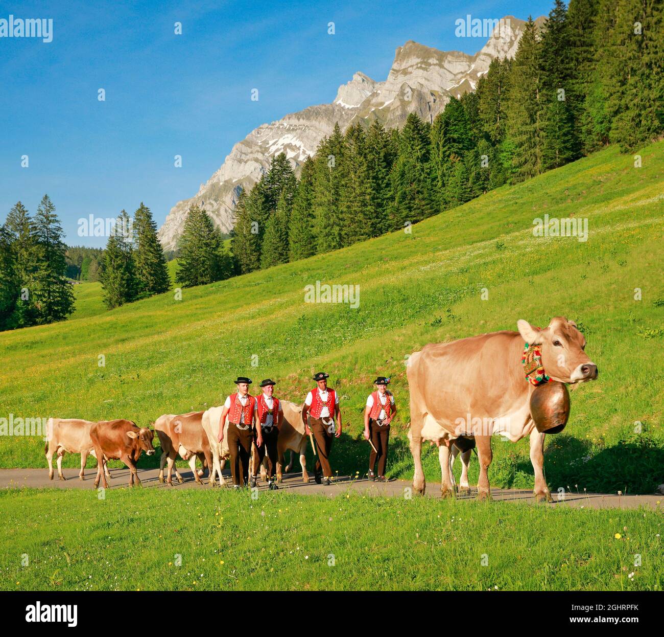Alpine procession at Lutertannen in front of the Alpstein massif with ...