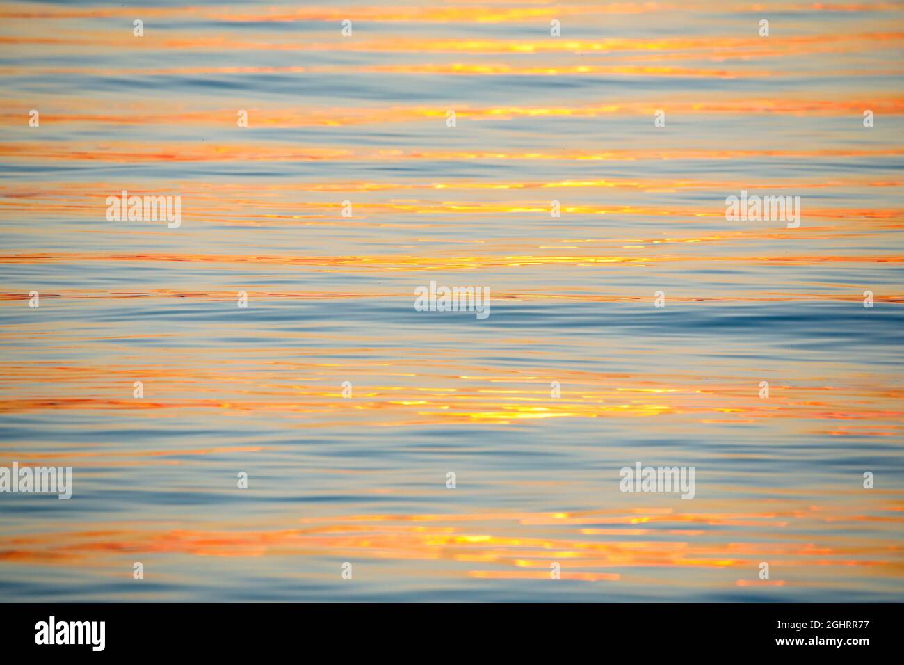 Rays of sunlight reflect on water surface of Lake Constance at sunrise ...