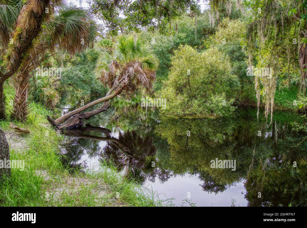 Clay Gully in Myakka River State Park in Sarasota Florida USA Stock ...