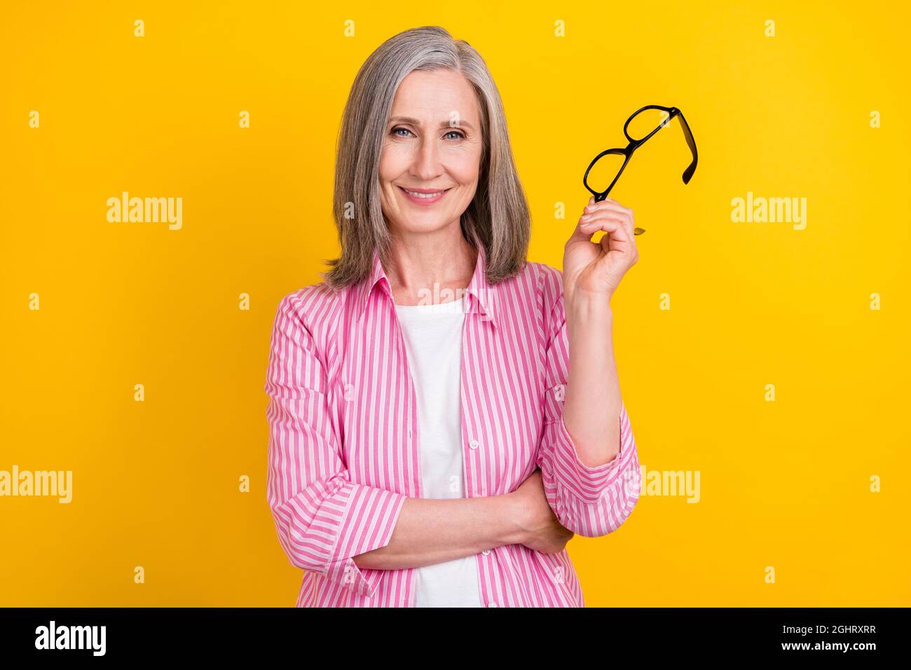 Portrait of attractive cheerful intelligent grey-haired woman granny ...