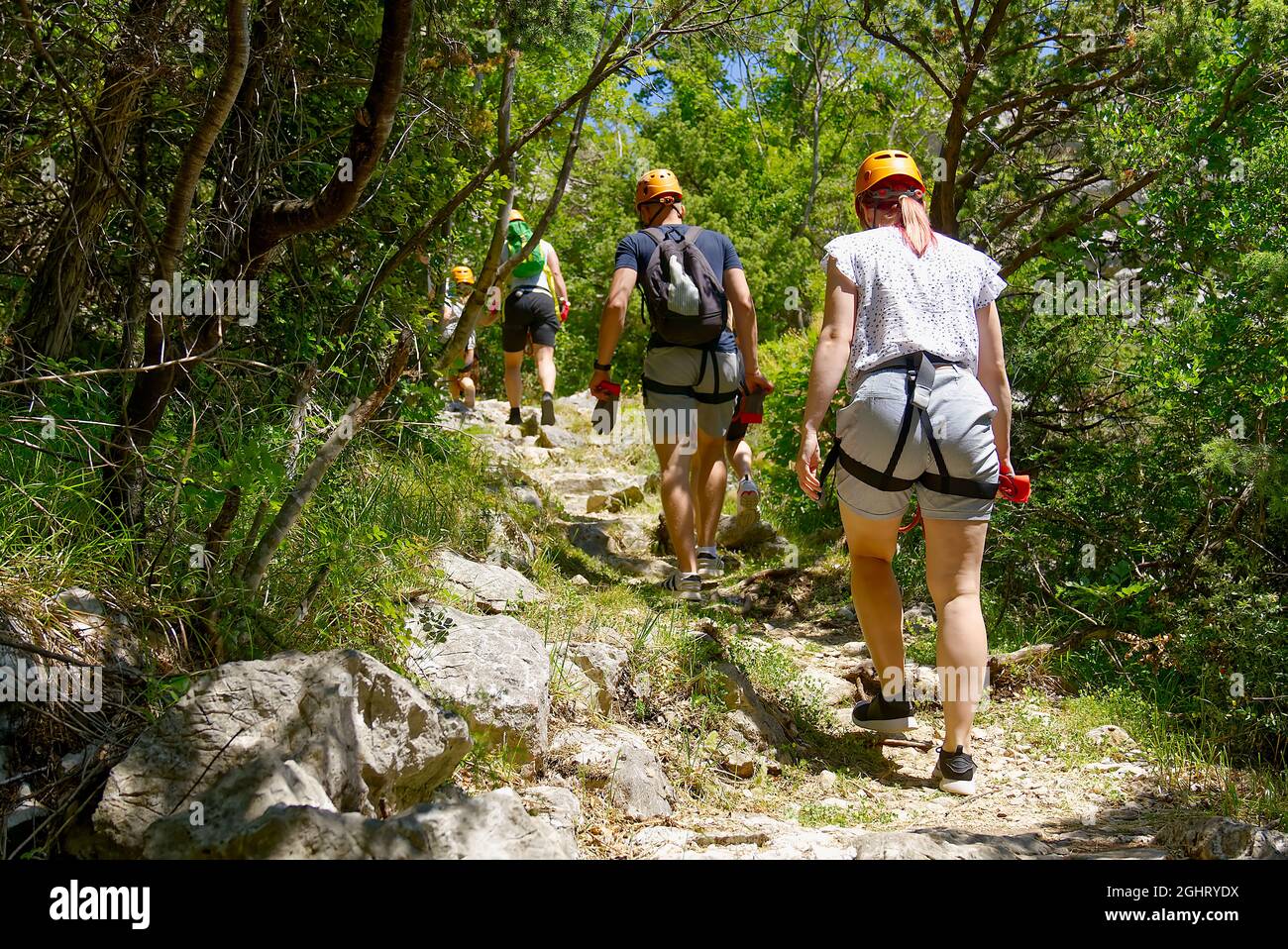 Hiking - Adventure - Healthy lifestyle. Group of hikers walks on ...