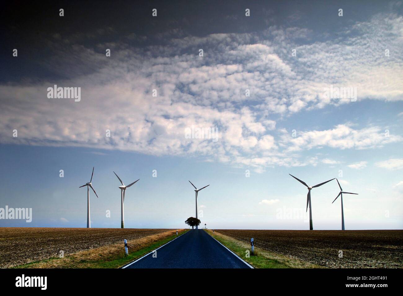 Road and tree, wind farm, wind turbines on the horizon, WKA, wind ...