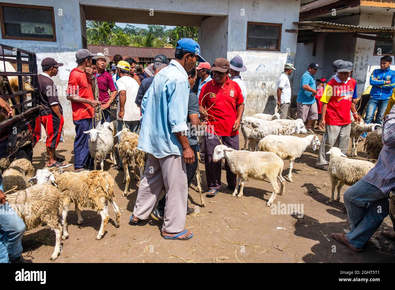 Animal market on Java Island, Indonesia Stock Photo - Alamy
