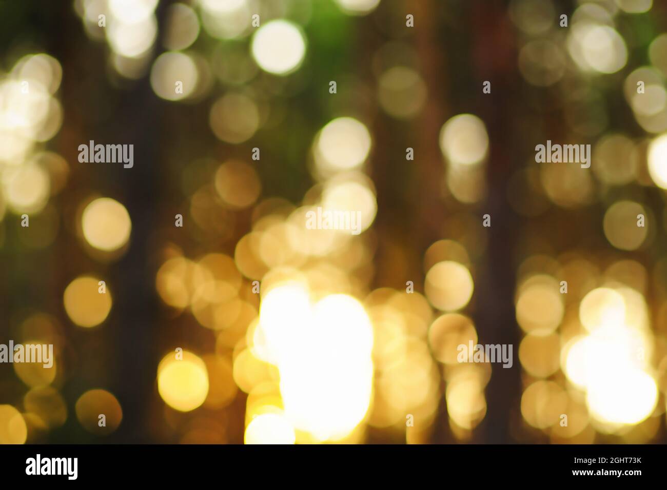 Abstract nature blur background blurred tree and bokeh tree. Forest sunset soft focus light ...