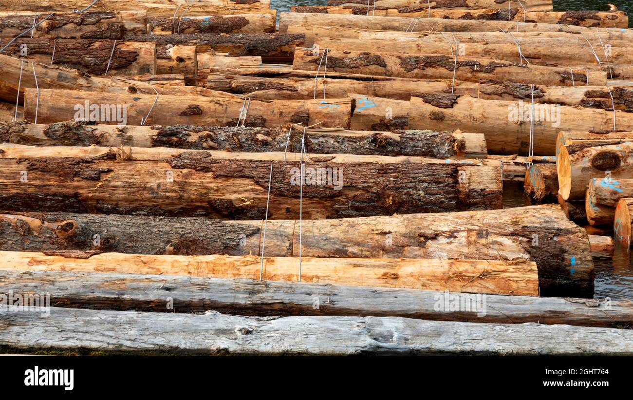 Log boom Jordan River Vancouver Island, British Columbia, Canada Stock ...