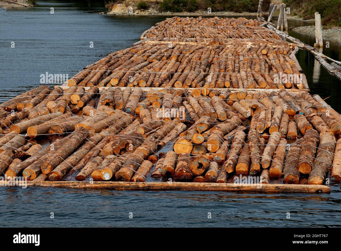 Log boom Jordan River Vancouver Island, British Columbia, Canada Stock ...