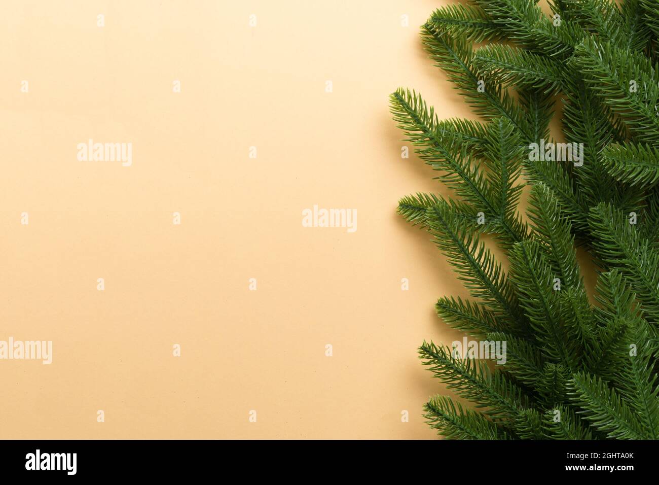 Christmas holiday background with copy space for advertising text. Fir ...