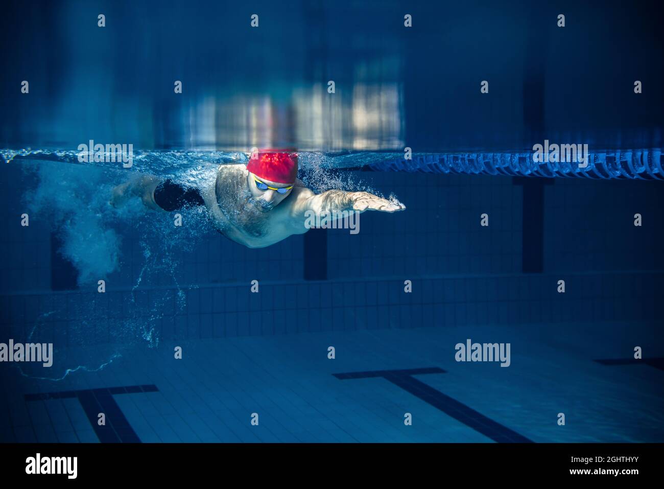 One male swimmer practicing and training at pool, indoors. Underwater ...