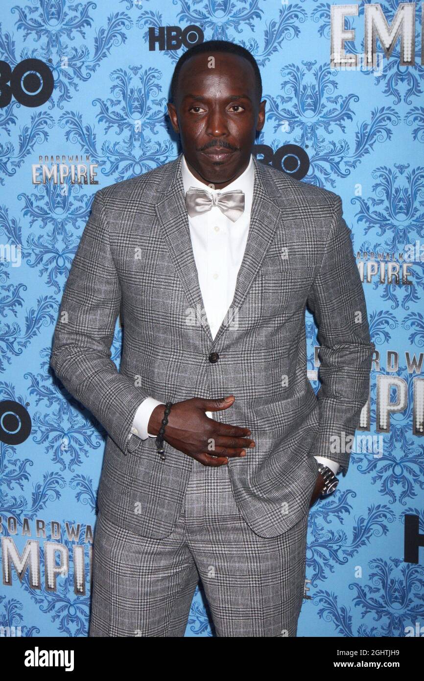 Michael Kenneth Williams attends the premiere of the HBO series ...